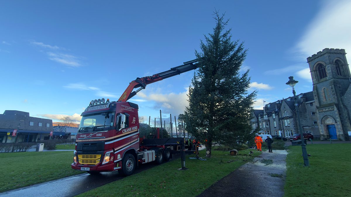 Christmas Tree Delivery | Ferguson Transport & Shipping